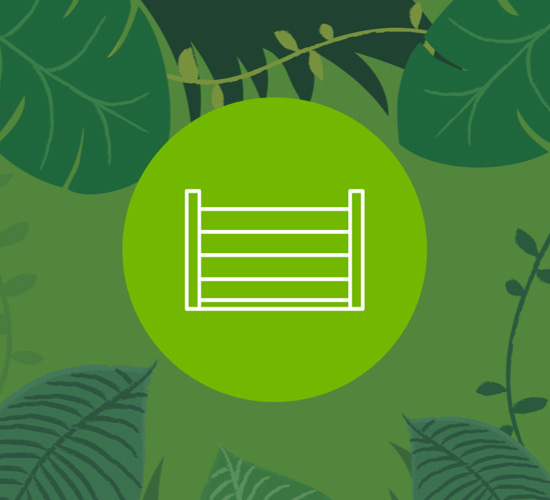 Assault Course - The Boys' Brigade