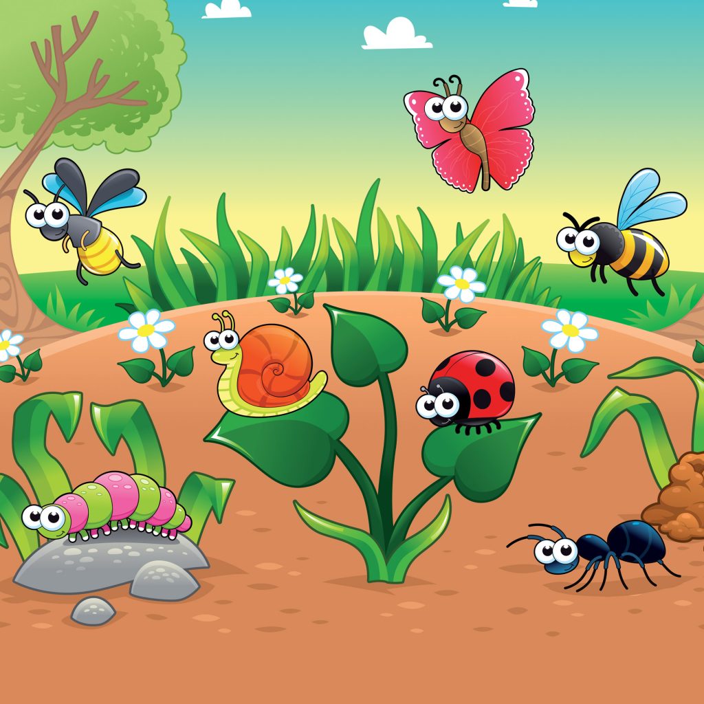 Minibeasts-Themed-Programme - The Boys' Brigade